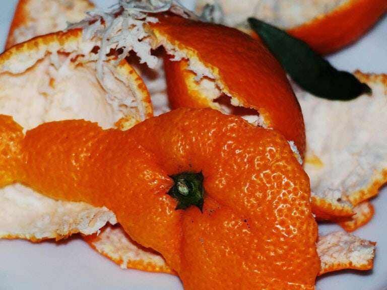 17 Smart Uses For Orange Peels Creative Ideas For Reuse House Grail