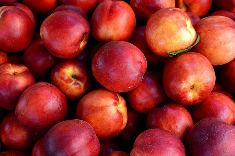 56 Nectarine Varieties An Overview With Pictures House Grail